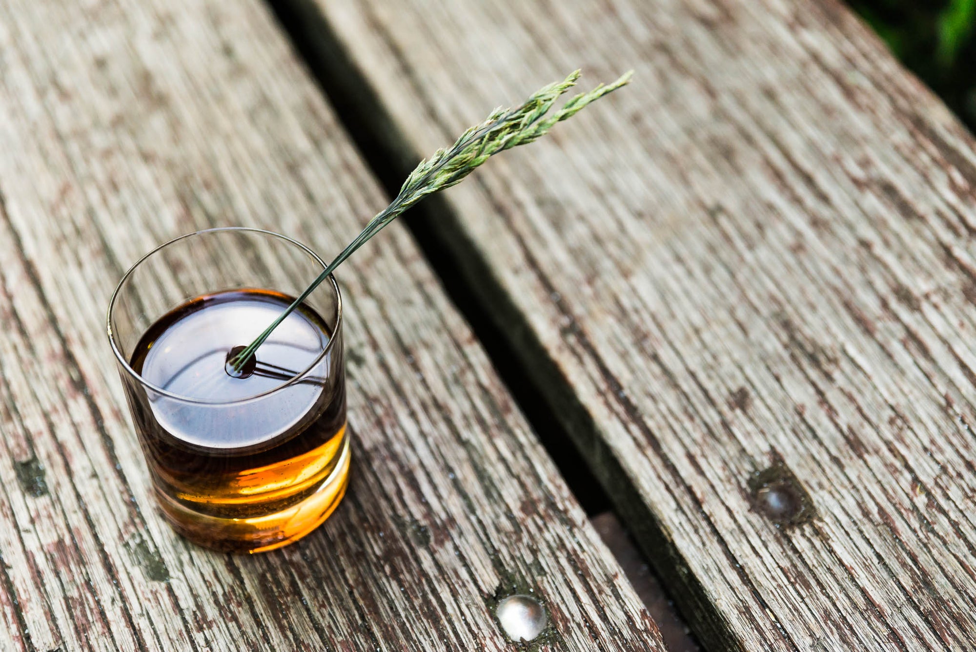 Haymaker Bar and Kitchen